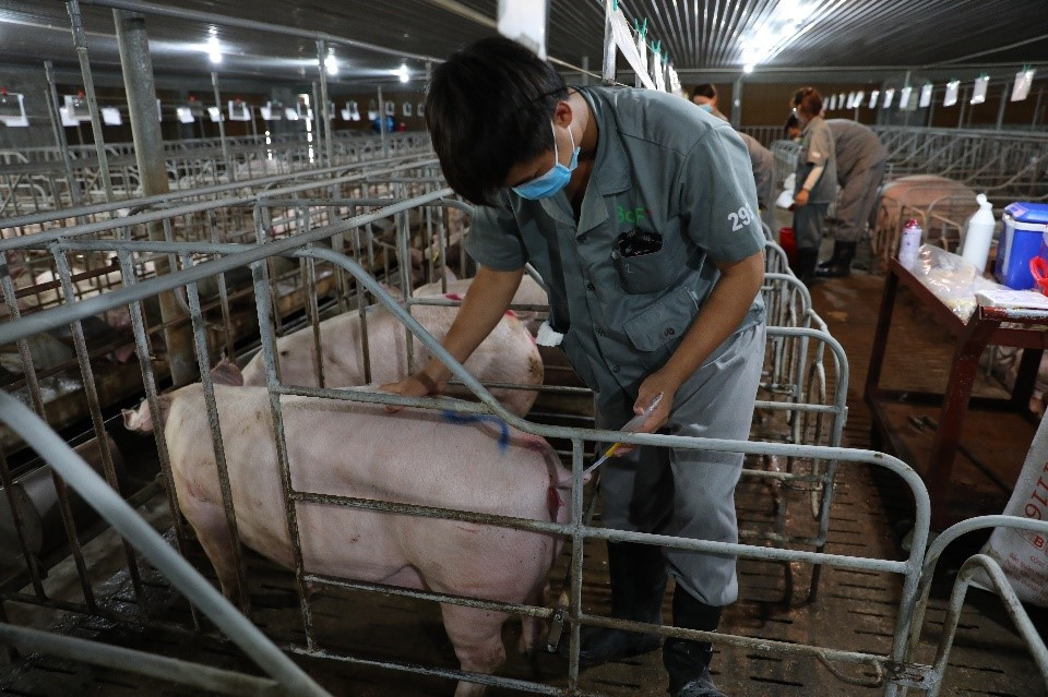 BAF – PROFIT AFTER AUDIT 2021 INCREASE 7 TIMES Y-O-Y - Công ty Cổ phần ...