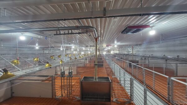 BaF – BaF Vietnam Agriculture Joint Stock Company