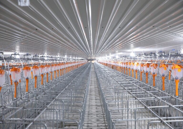 BaF – BaF Vietnam Agriculture Joint Stock Company