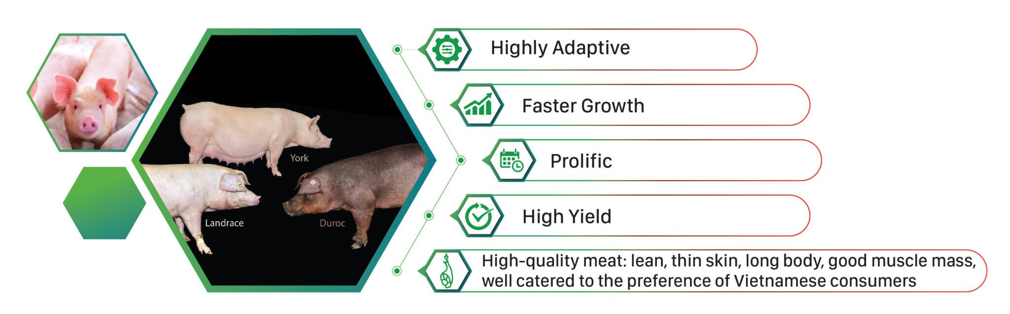 FARM - Công ty Cổ phần Nông nghiệp BAF Việt Nam