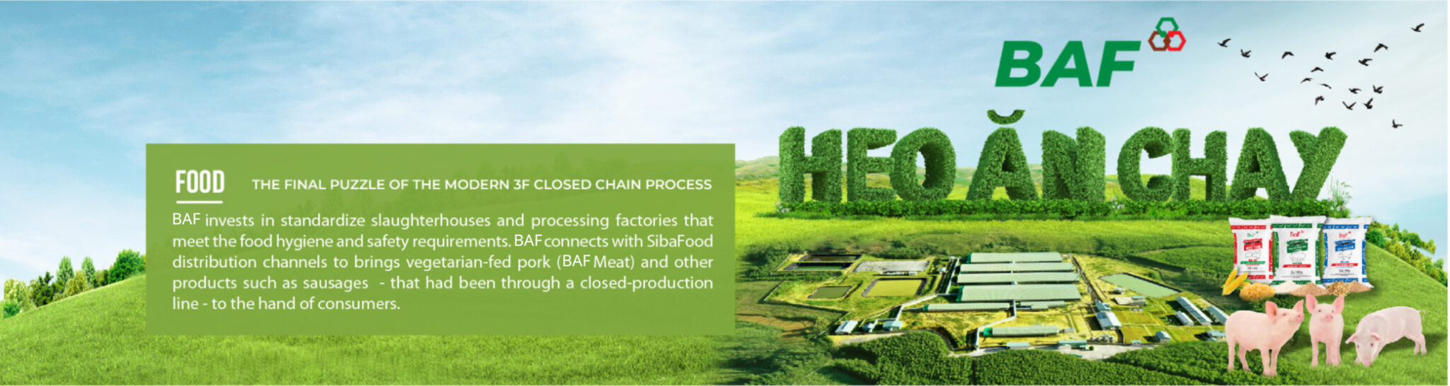 Home - Công ty Cổ phần Nông nghiệp BAF Việt Nam